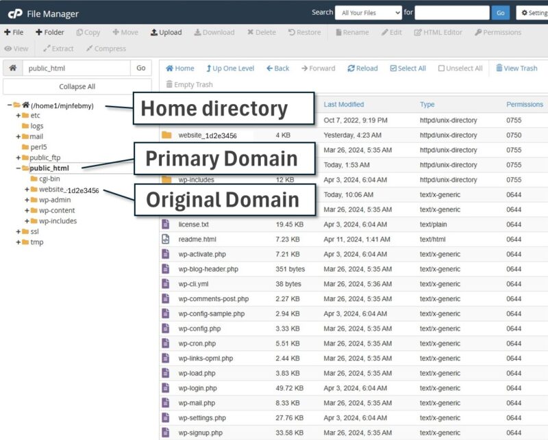 Server Settings of Bluehost | Making a homepage to start from scratch ...
